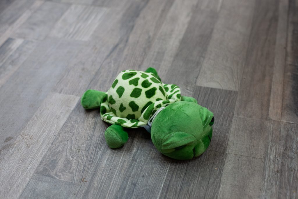 Sam, the Turtle Stuffie