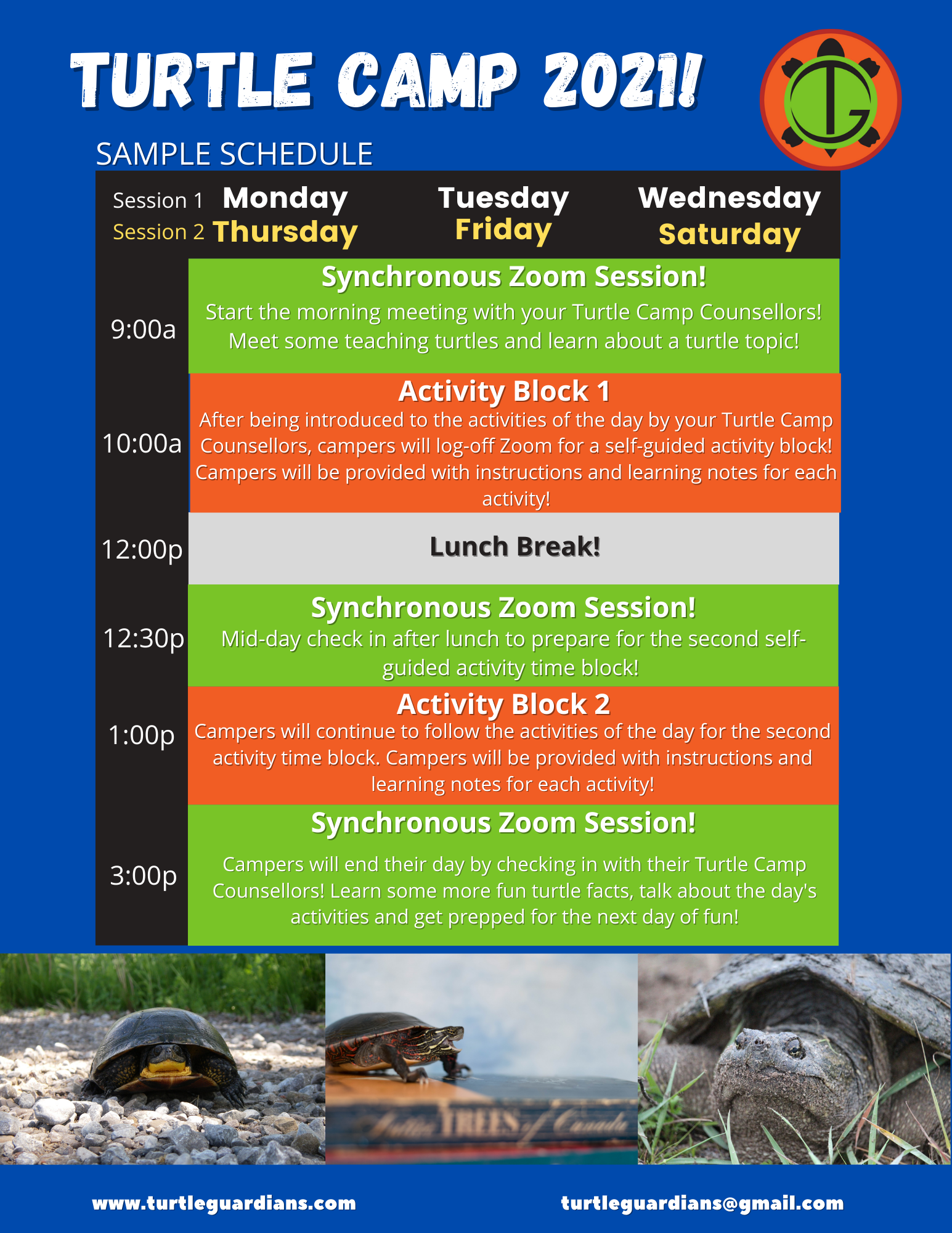 Virtual Turtle Camp and Turtle Tours 2021