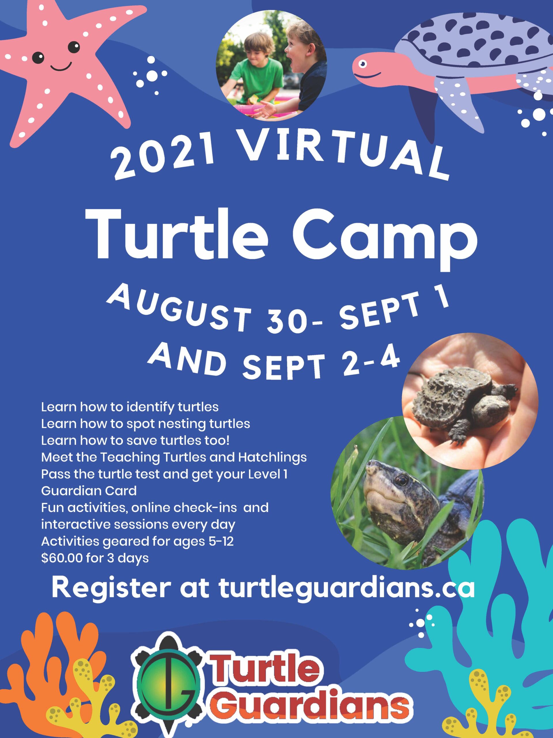 Turtle camp 2021