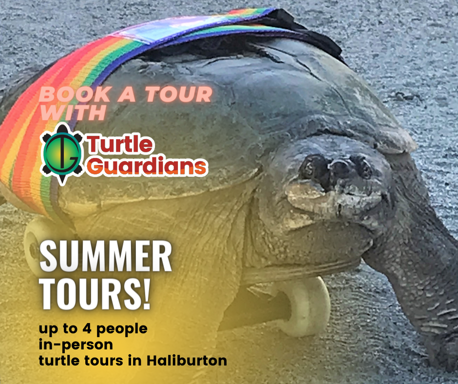 STAR TRAINING TODAY (Facebook Post)