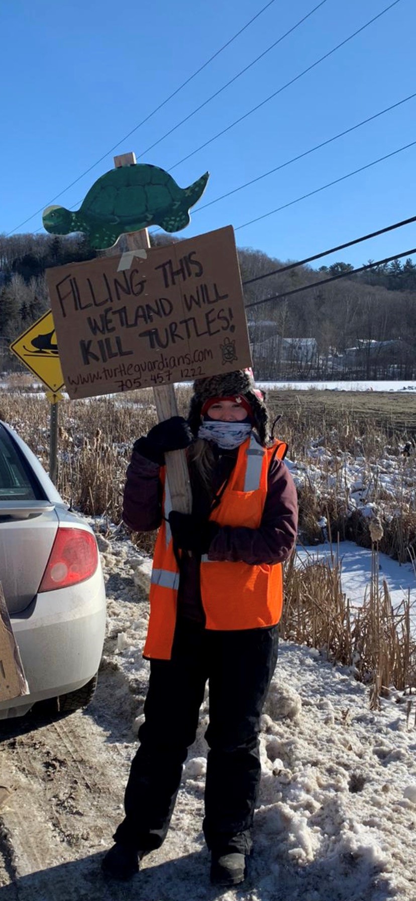 Grassroots Efforts to Save Turtles