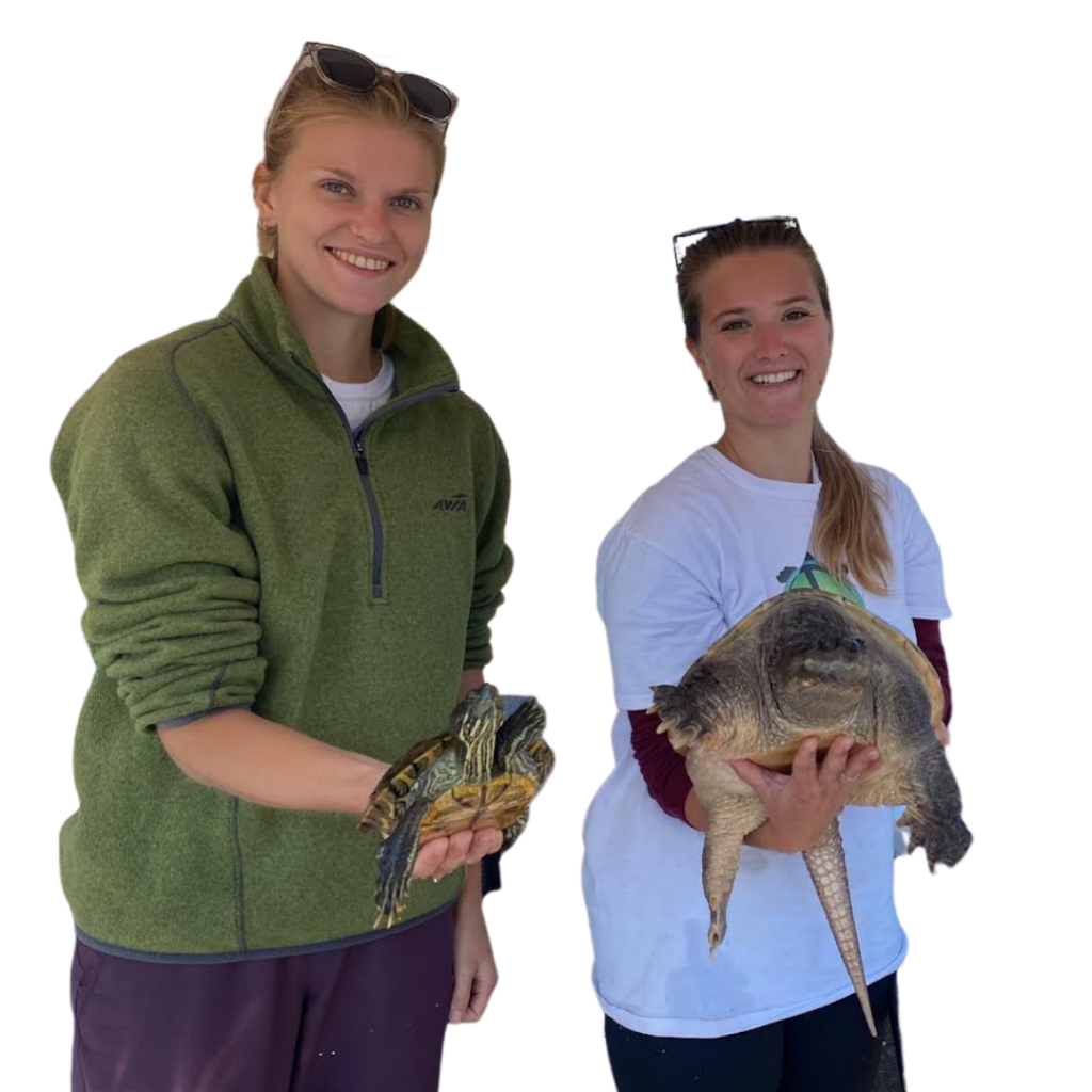 Grassroots Efforts to Save Turtles