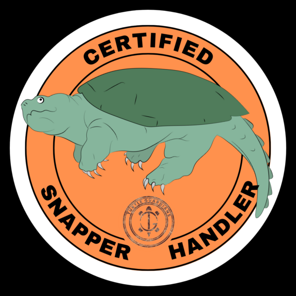 Snapping Turtle Handling Workshop
