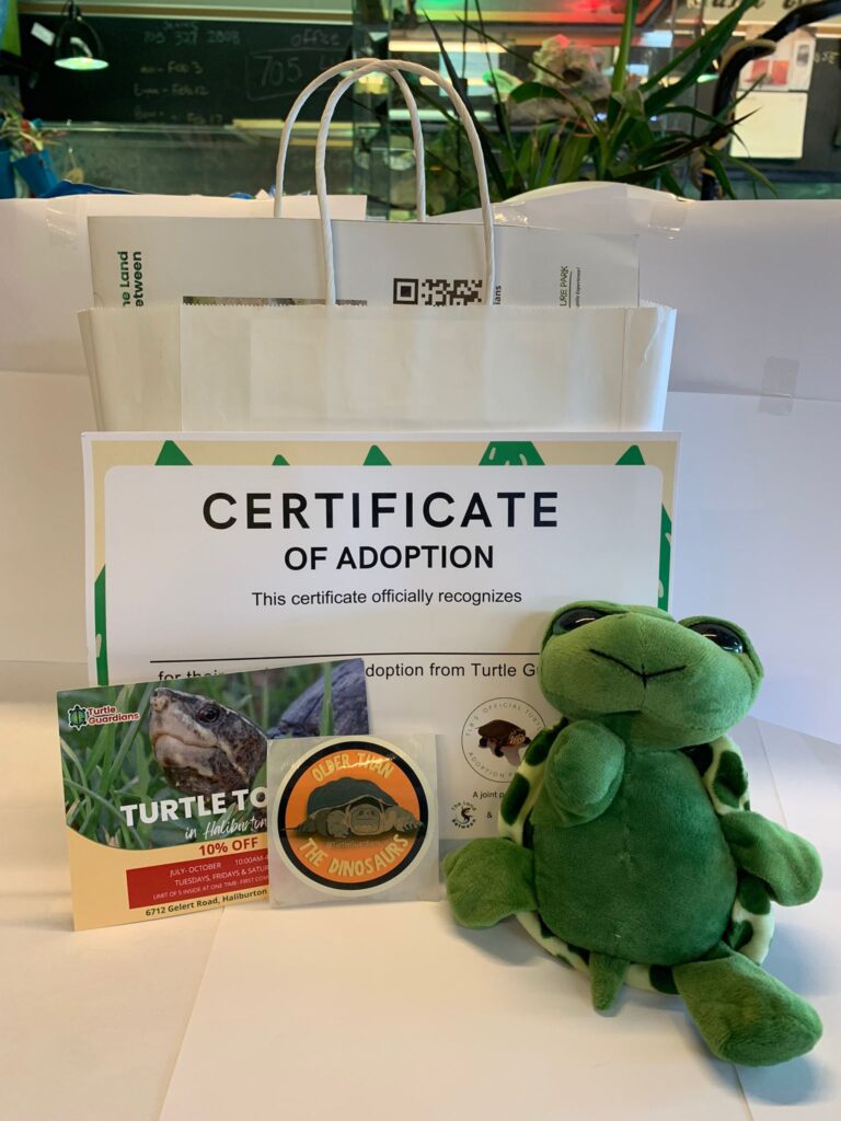 Adopt A Turtle, Symbolic Adoption Kit