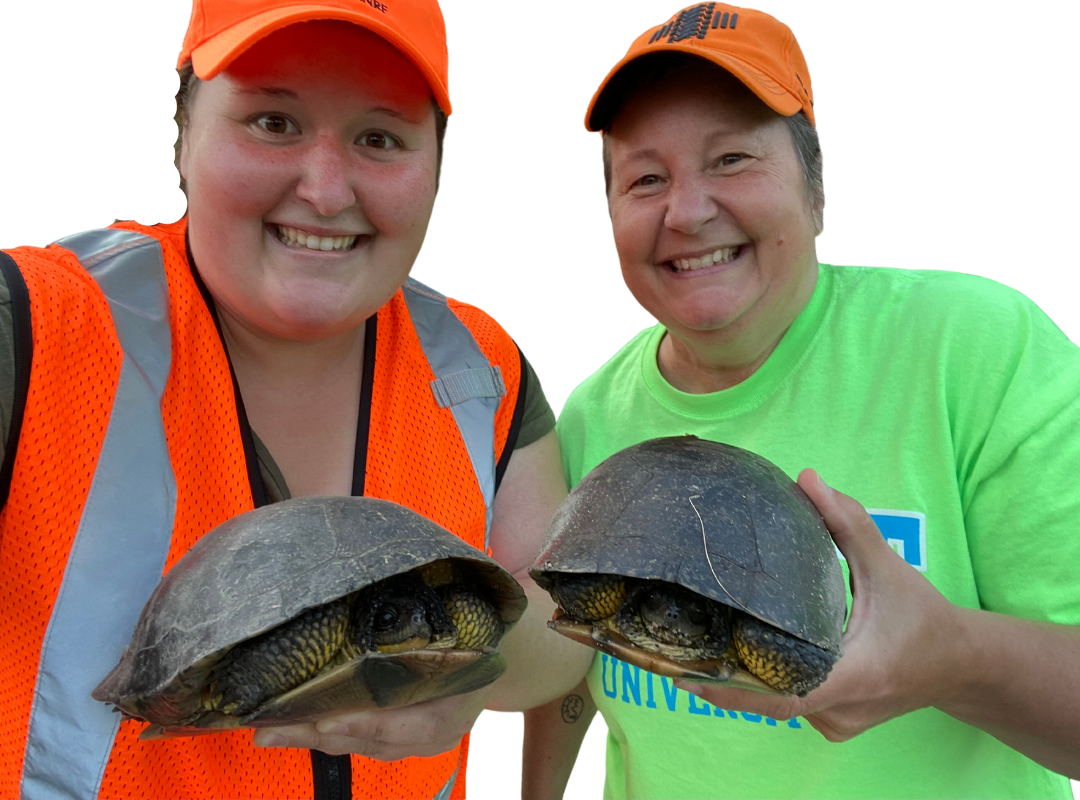 Grassroots Efforts to Save Turtles