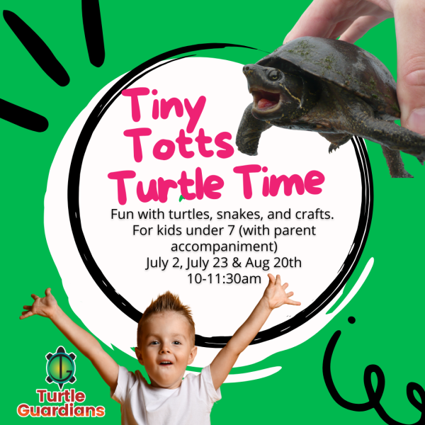 Tiny Totts Turtle Time