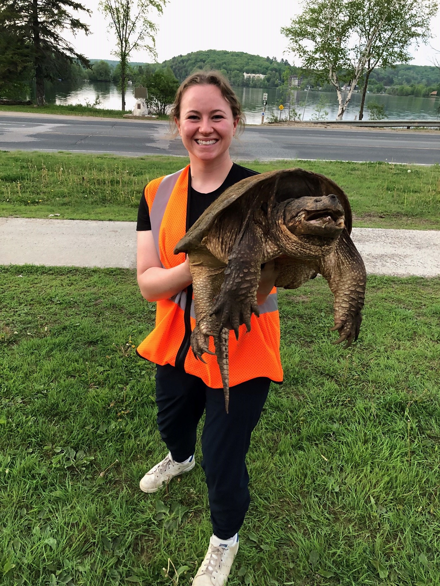 Who are Turtle Guardians?