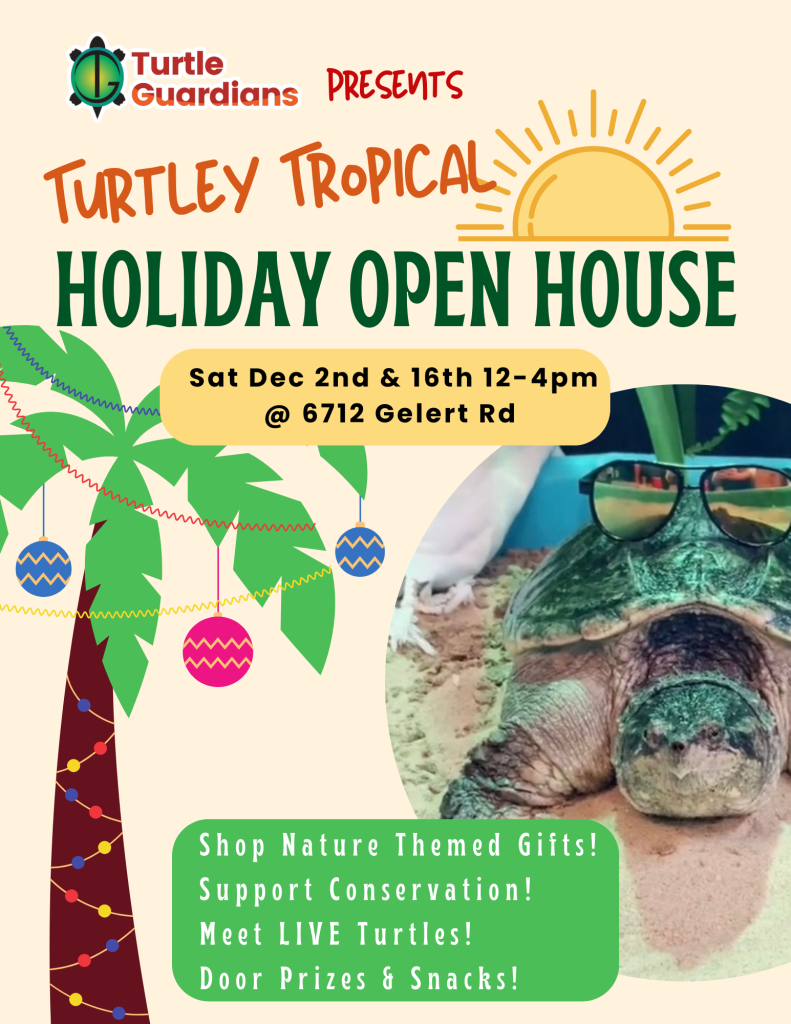Turtley Tropical Holiday Open House