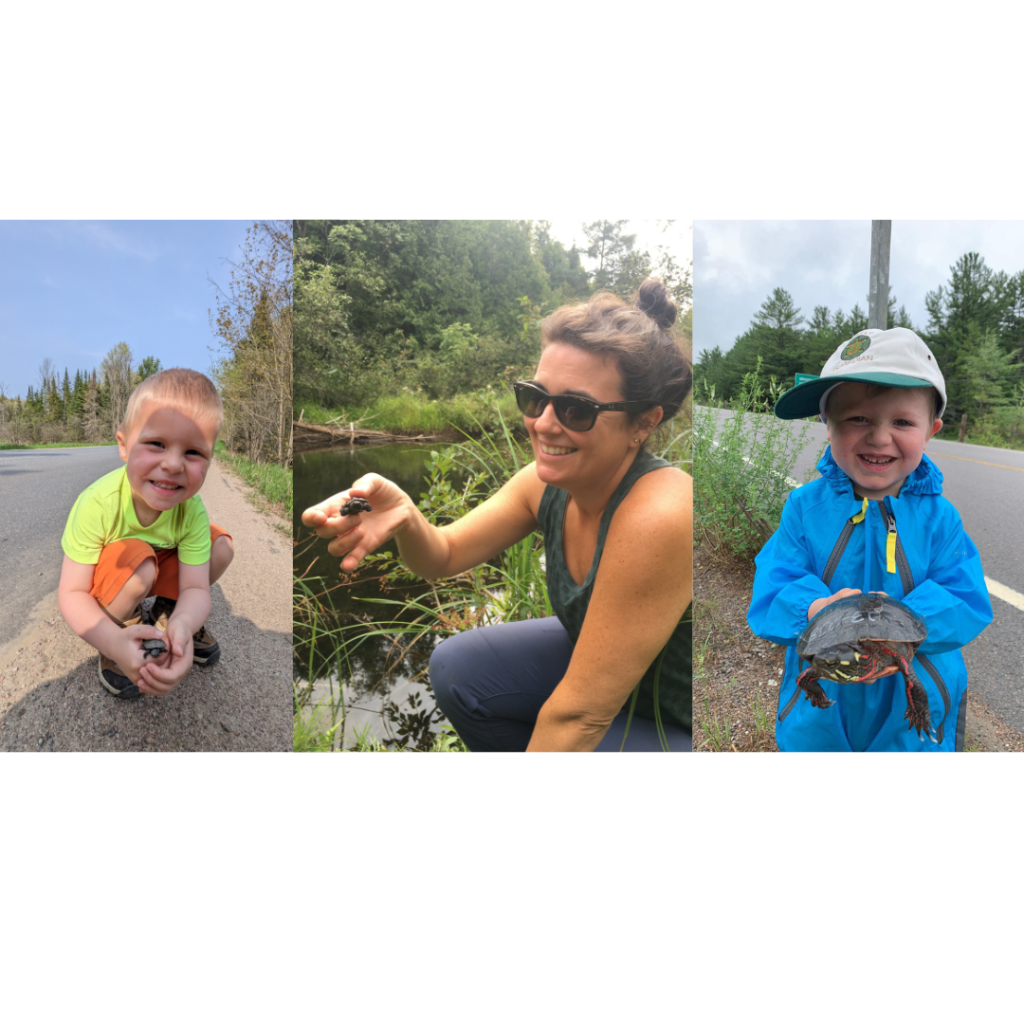 Help save turtles this summer!