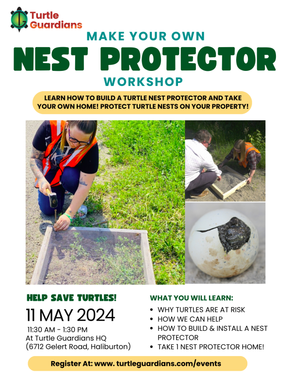 Make Your Own Nest Protector Workshop