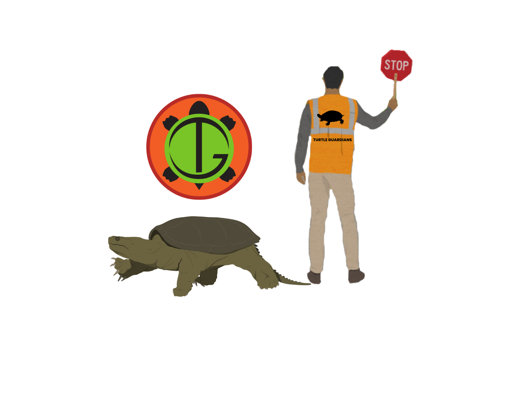 Grassroots Efforts to Save Turtles