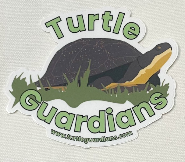 Turtle Guardians Blandings Sticker